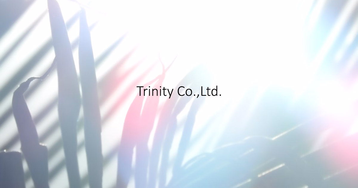 Trinity Co.,Ltd.